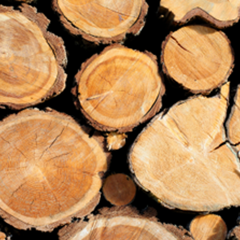 Our Services - Firwood Timber Civil